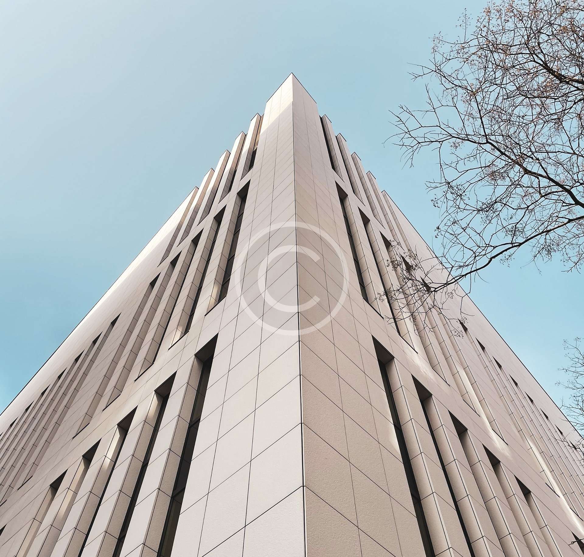 Defining the firm structures of the near future – Ambition